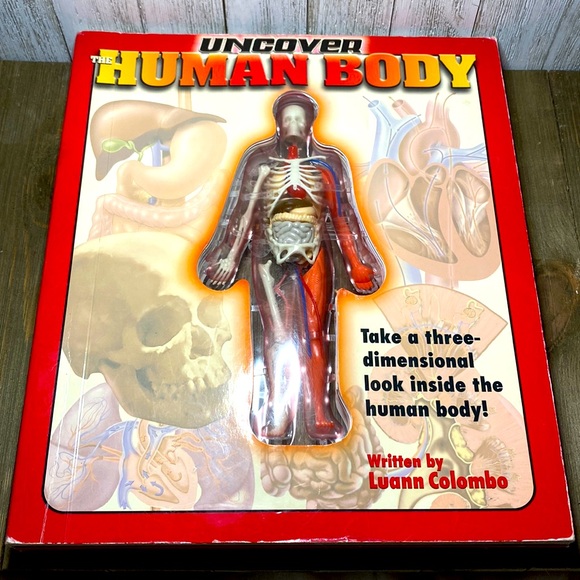book | Other | Uncover The Human Body Luann Colombo | Poshmark